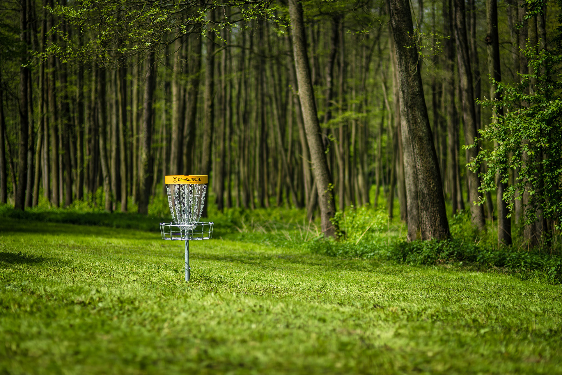 Home - DiscGolfPark